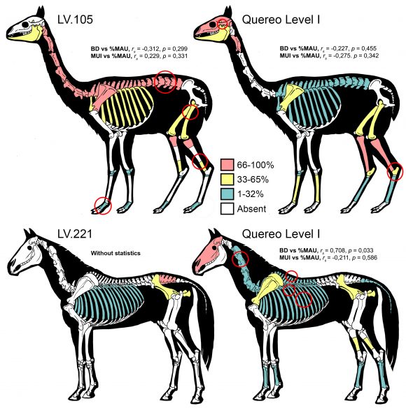 Cambios ambientales habrían aportado a extinción de megafauna en Los ...