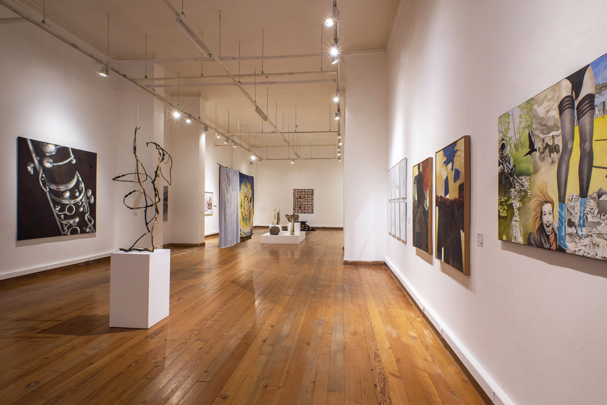 “Periplo”, la nueva exposición en Chile del Artista illapelino Elias ...
